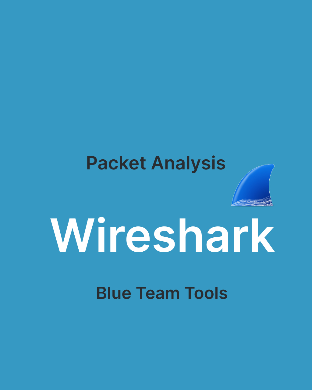 Basic Packet Analysis Using Wireshark 0xElshazly | Mohamed Ayman Elshazly | DFIR Blog | Digital ...